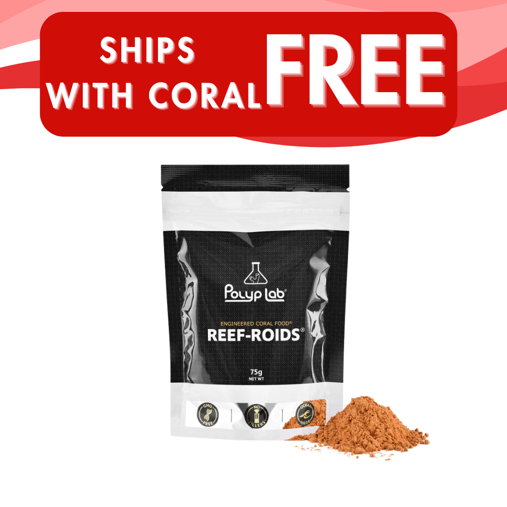Reef-Roids 75g – Coral Stop
