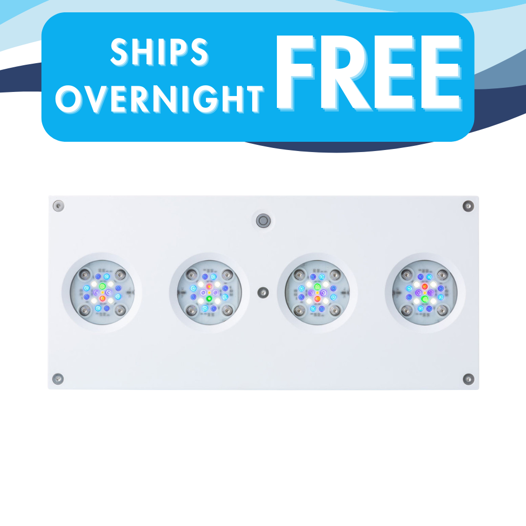 AI Hydra 64 HD LED Module - White Body – Coral Stop